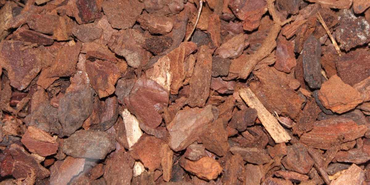 Pinienrinde Einstreu: Besondere Eigenschaften nutzen! ⇒Im Praxiseinsatz